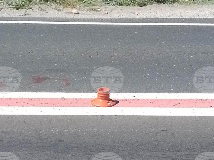 БТА :: 11 ограничителни колчета са изрязани в участъка от път I-1 през ...